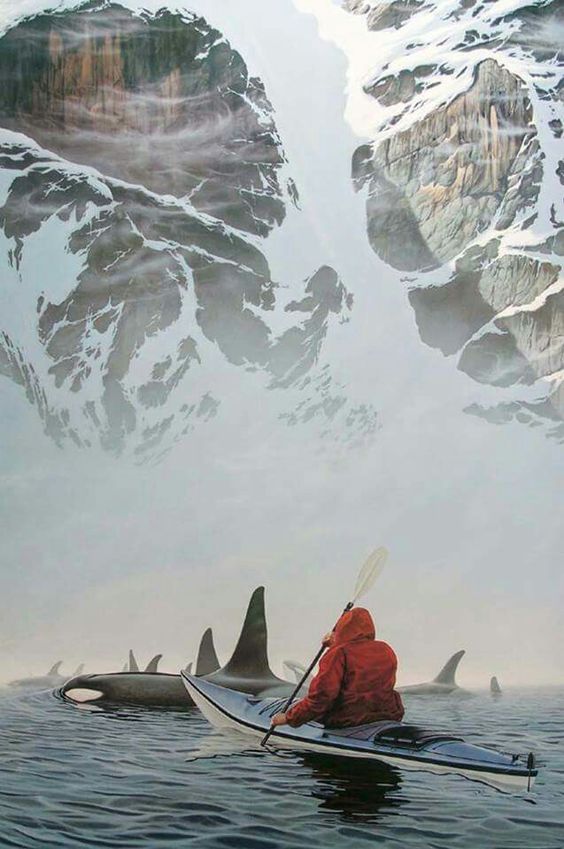 El kayak y el Kayakismo: un deporte de naturaleza - Megapiscinas